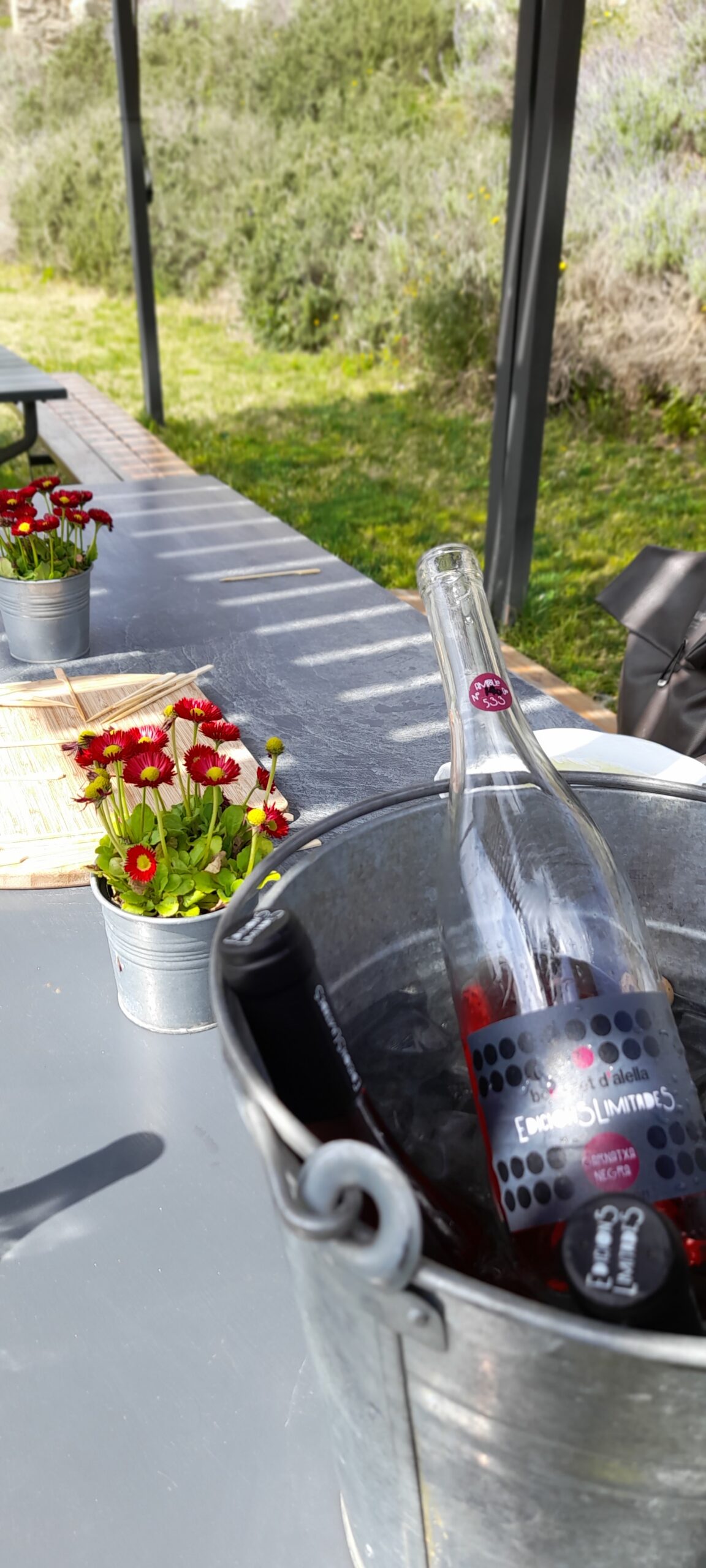Wine & Picasso. Combine Picasso with the DO Alella Wines